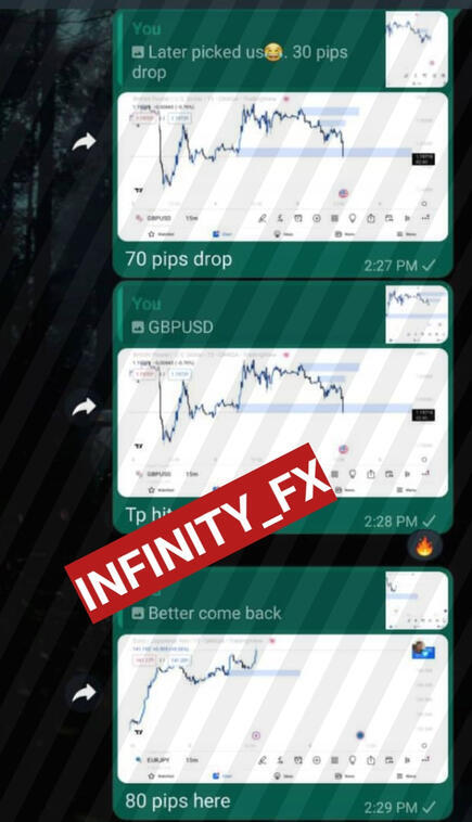 Forex Trading Premium Signals